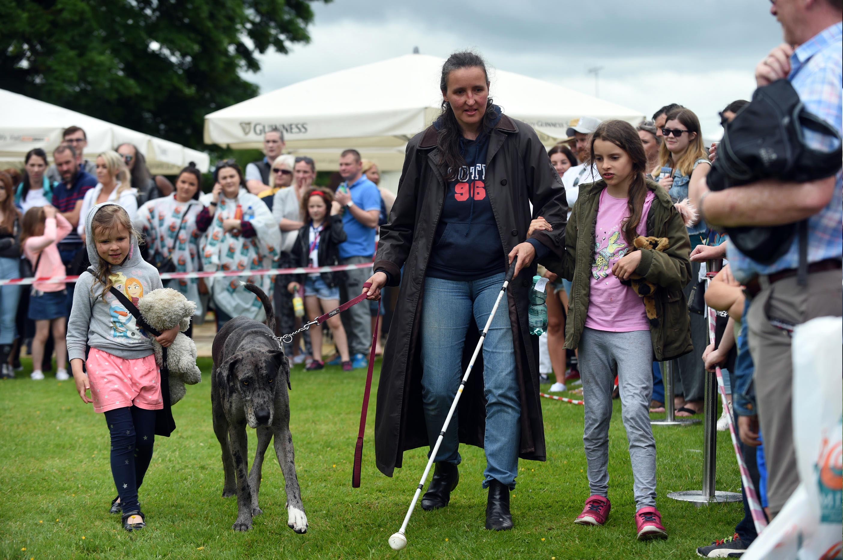 Novelty Dog Show Ireland Bikefest Novelty Dog Show Ireland Bikefest